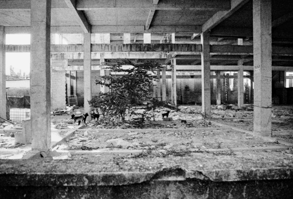 1000 Ghost Houses – DANA LANGLOIS